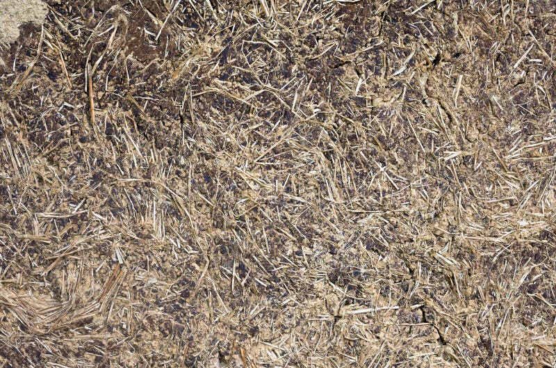 Wattle and Daub Wall Texture Stock Photo - Image of natural, rammed ...