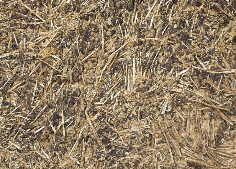 Wattle and Daub Wall Texture Stock Photo - Image of architectural ...