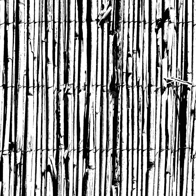 6+ Wattle fence texture Free Stock Photos - StockFreeImages