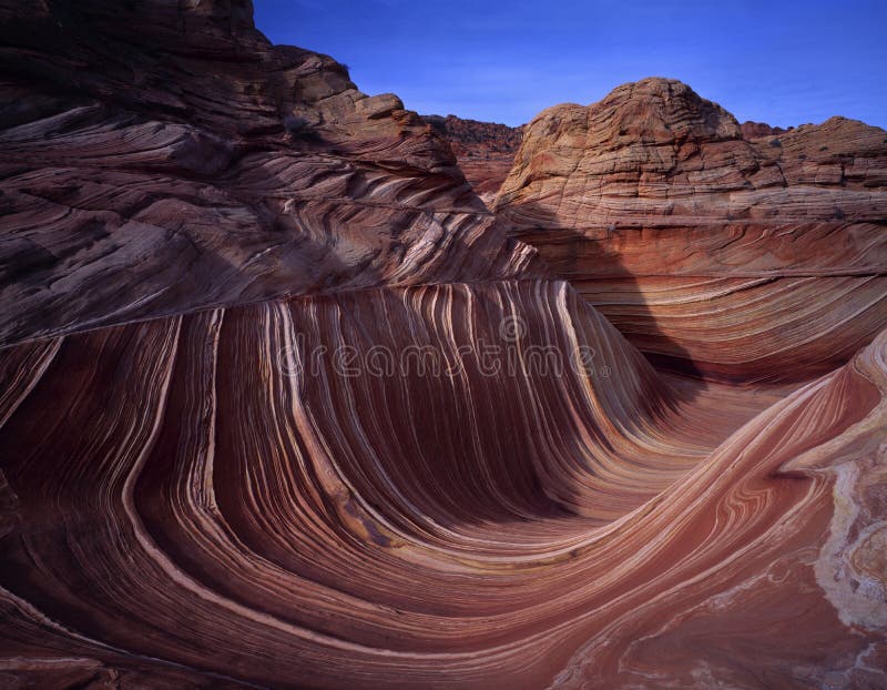 The Wave stock photo. Image of utah, arizona, wave, paria - 9052484