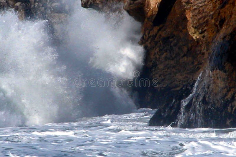 Valentines day roses stock image. Image of marry, pathway - 426757