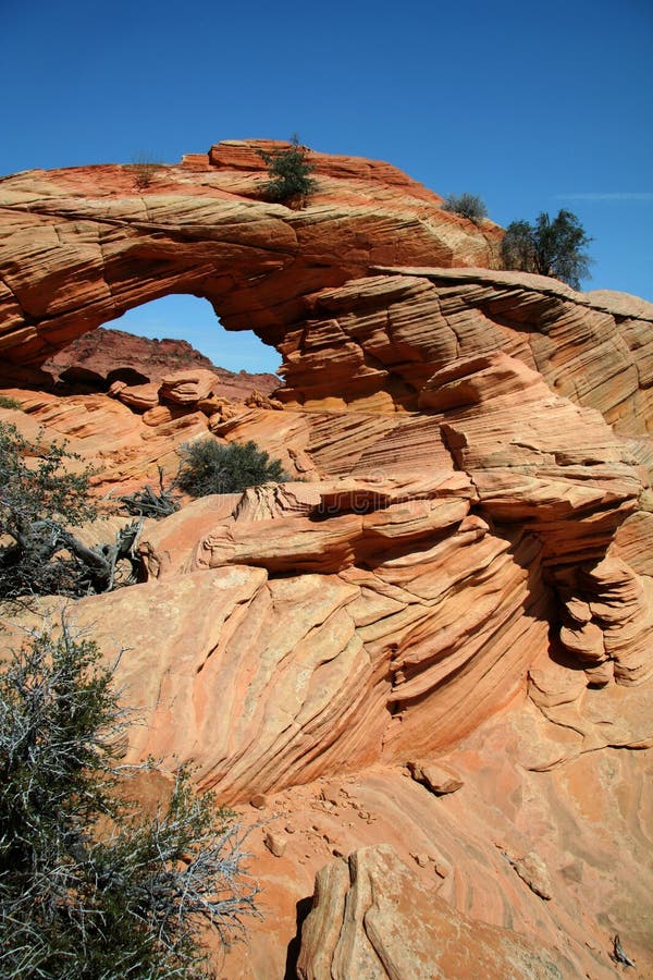 The Wave Arch stock image. Image of landscapes, canyonlands - 376589