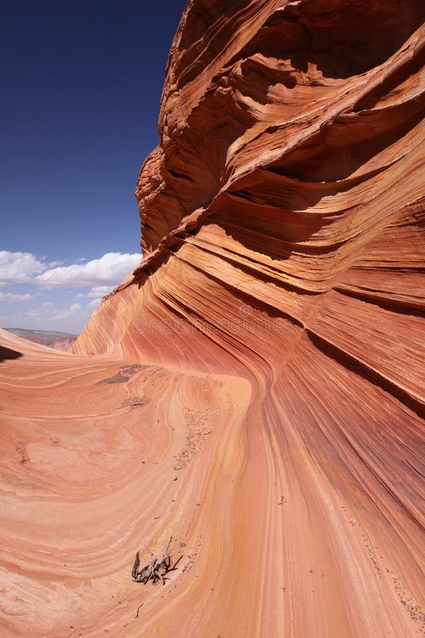 The Wave, Arizona stock photo. Image of barren, hike - 11128950