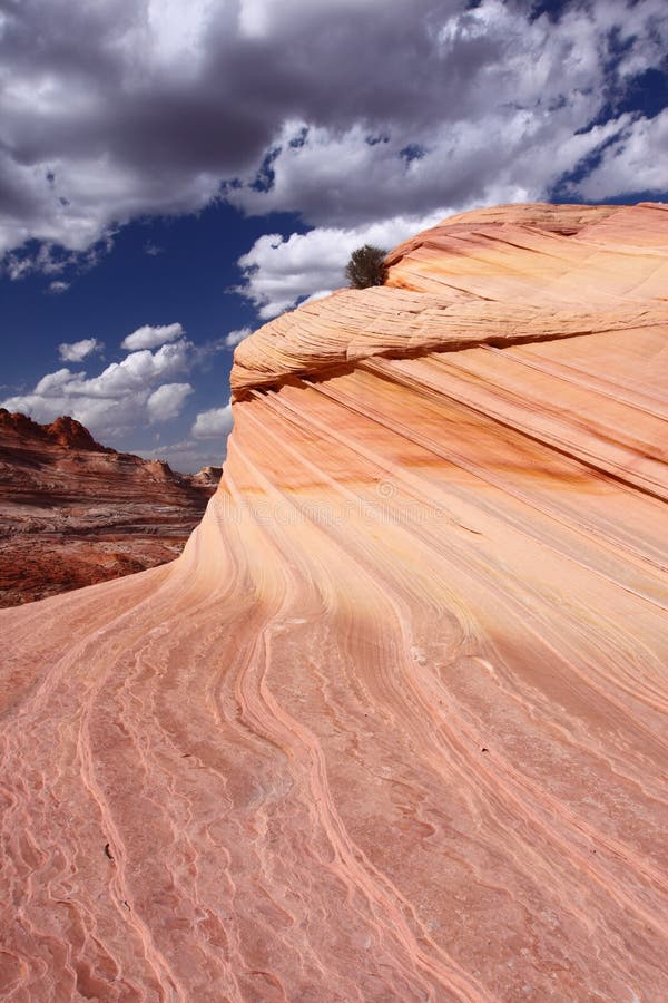 The Wave, Arizona stock photo. Image of sand, remote - 29122390