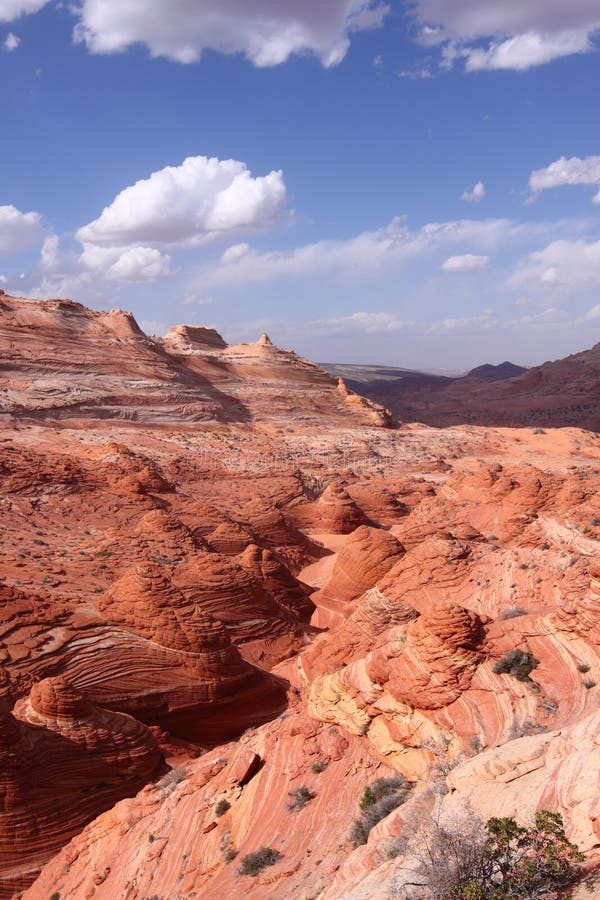 The Wave, Arizona stock image. Image of coyote, rocks - 29122397