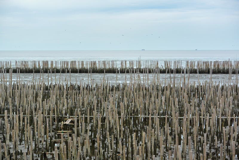 Wave barrier stock image. Image of coast, protect, wave - 67491555