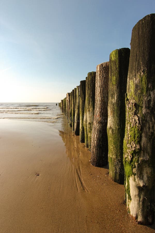 Wave Breaker in the Netherlands Stock Photo - Image of wood, quiet ...