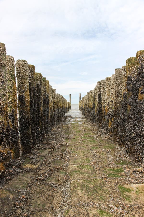 Wave Breaker in the Netherlands Stock Image - Image of cadzand, stone ...