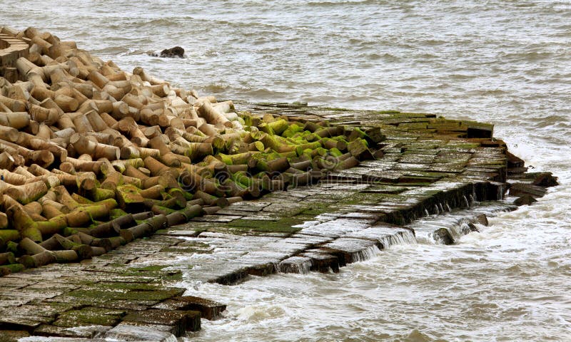 Wave breakers stock image. Image of fungus, nature, hard - 52013049