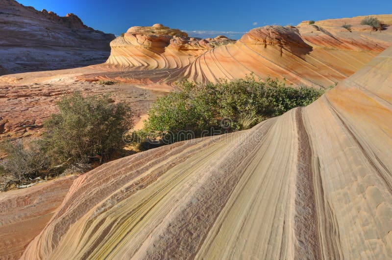 The Wave, Coyote Butte, Kanab, Utah Stock Photo - Image of geological ...