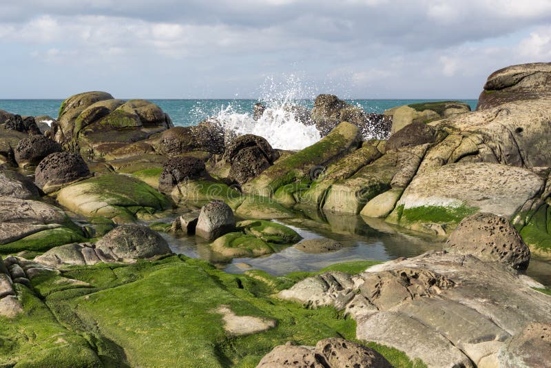 Wave Crashing on Rocks Covered in Seaweed Stock Image - Image of ...