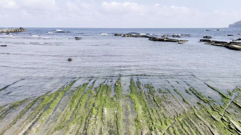 Wave-cut Platform Overgrown with Green Algae Stock Footage - Video of ...