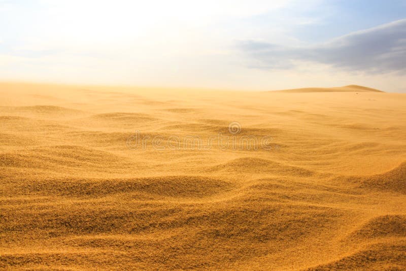 Wave on desert stock image. Image of dust, dune, heat - 35671007