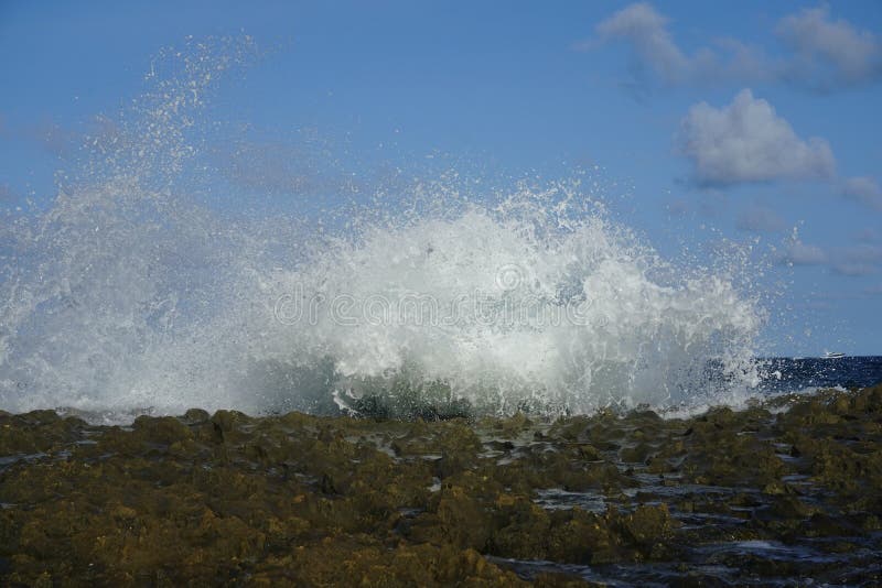 Wave at Florida`s Atlantic Beach Stock Photo - Image of tropical, power ...