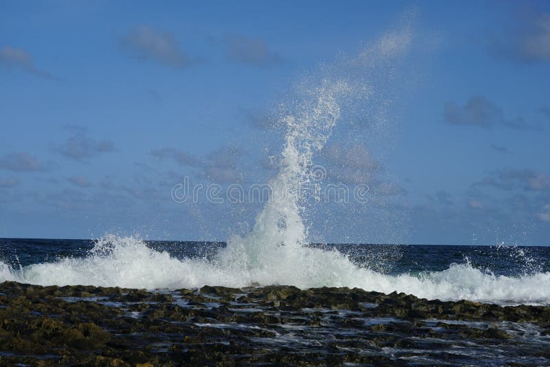 Wave at Florida`s Atlantic Beach Stock Image - Image of sunlight ...