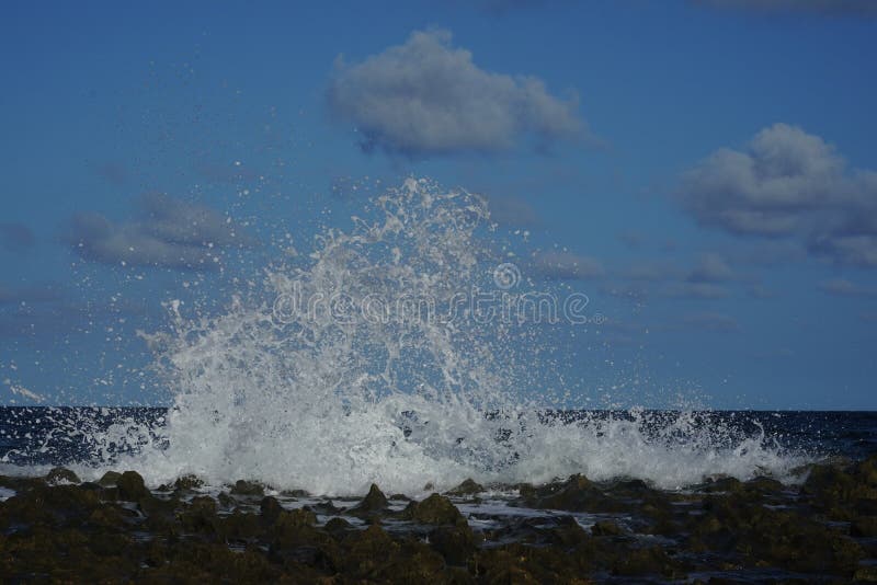 Wave at Florida`s Atlantic Beach Stock Photo - Image of side, water ...