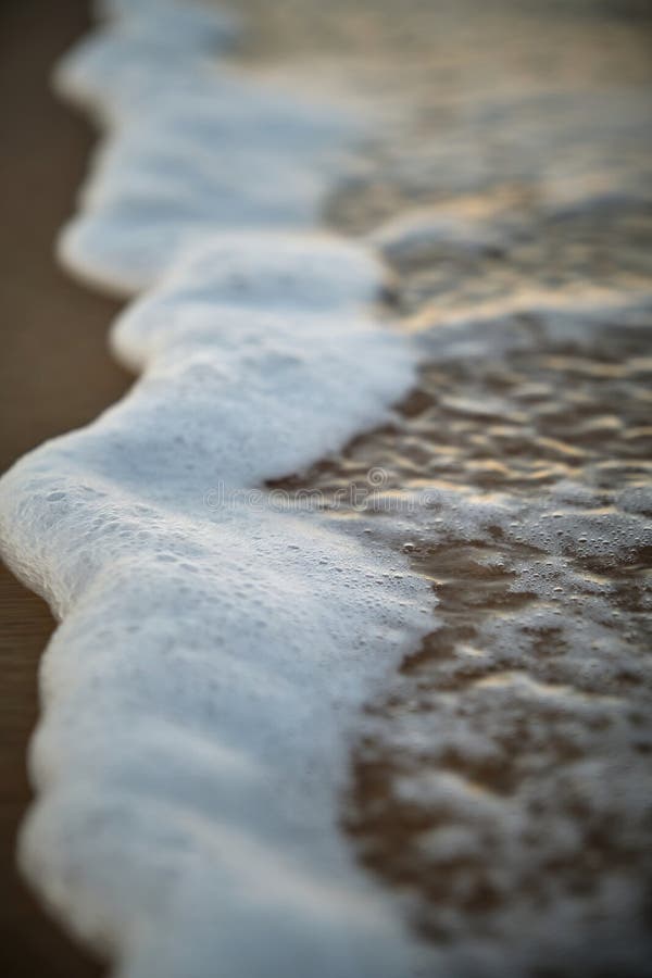 Wave with foam at sunset stock photo. Image of sunset - 214241056