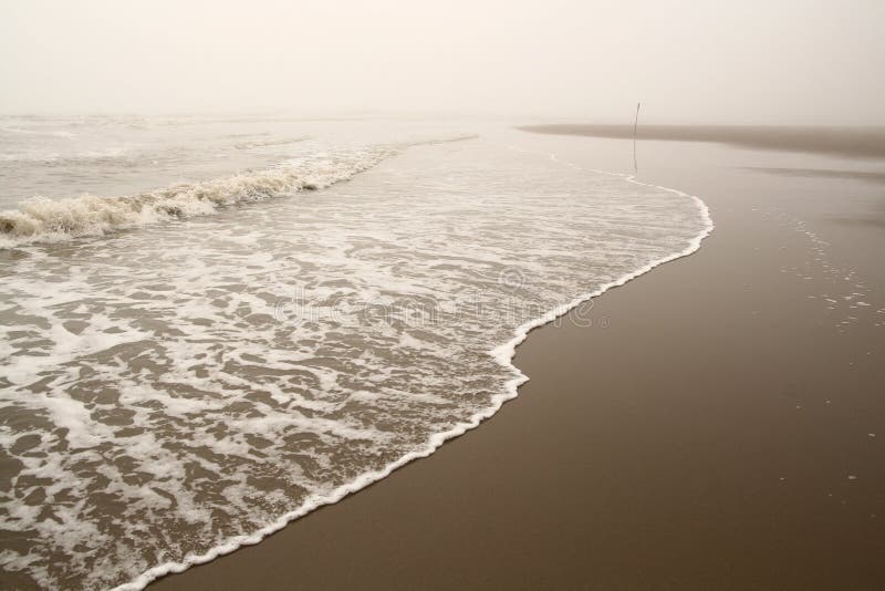 Wave on the foggy seashore stock photo. Image of gloom - 12521404
