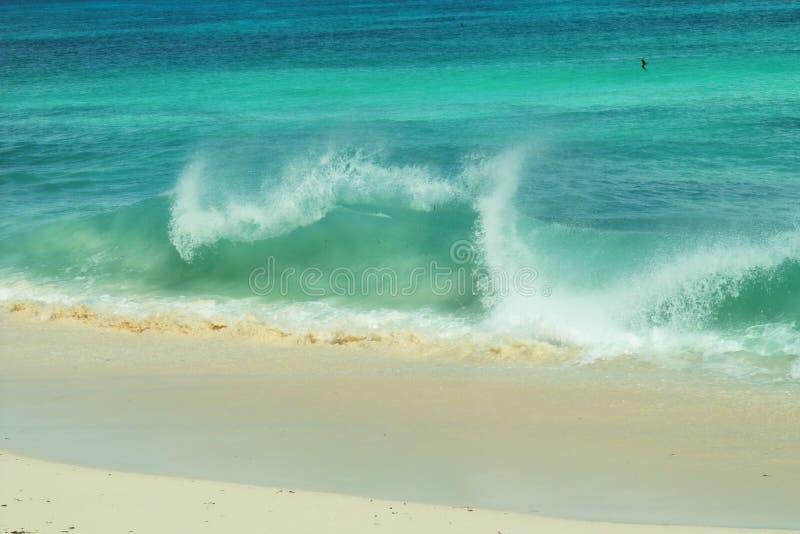 Wave Fun, Tropical Sand Beach. Stock Image - Image of caribbean ...