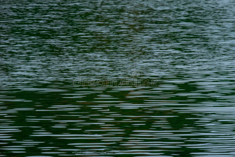 "Wave on the Green Lake, Pattern Backround. I Stock Photo - Image of ...