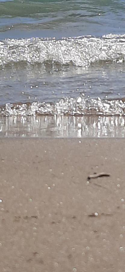 Wave Hello Ocean stock photo. Image of shore, snow, wildlife - 265211138