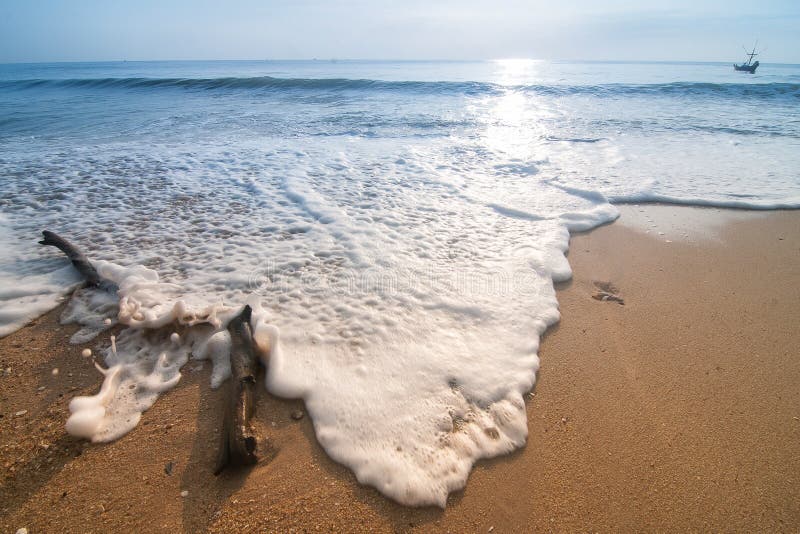 Wave Hitting Dead Wood on the Beach Stock Image - Image of sandy, dramatic: 196330859