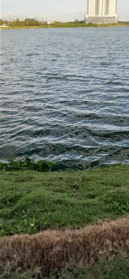 Wave lake peace stock image. Image of tree, wall, peace - 200403009