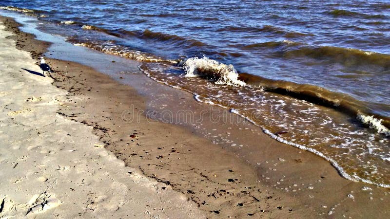 Ripples and a Wave stock photo. Image of ocean, ripples - 104565106