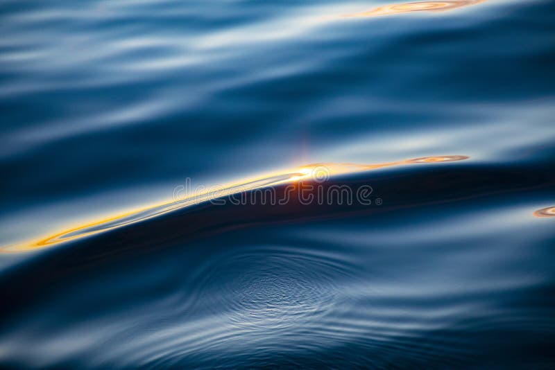 Wave light point stock photo. Image of sparkle, light - 173862818
