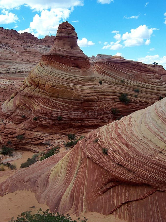The Wave stock photo. Image of coyote, north, cliffs - 44456570