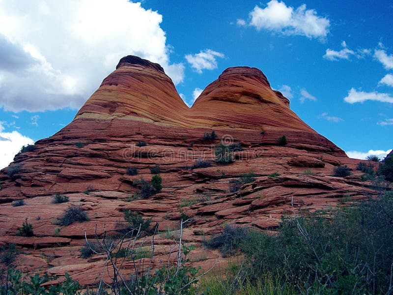 The Wave stock image. Image of coyote, field, wave, kanab - 44456577