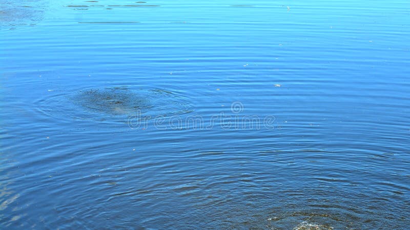 Wave over surface water stock image. Image of skin, lake - 61892737