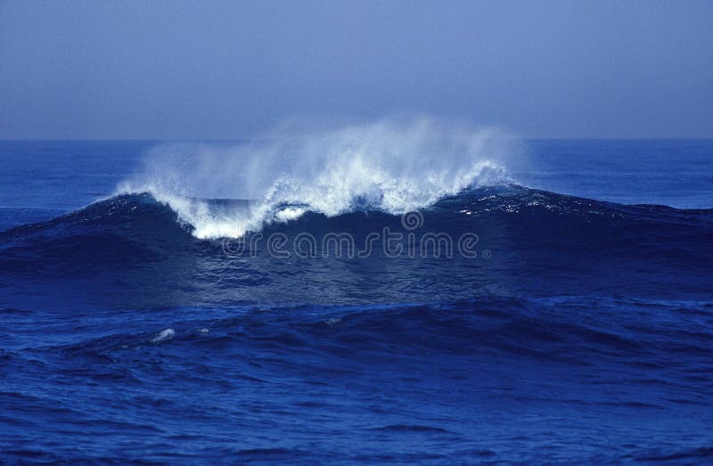 Wave in Pacific Ocean, California Stock Image - Image of water, ocean ...