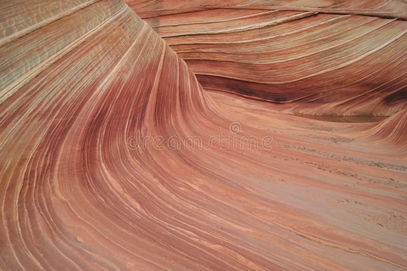 The Wave. Paria Canyon. Picture Image: 5367770