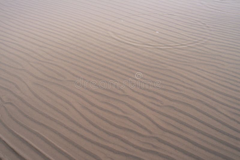 Wave Patterns on Sand in Shallow Water on Beach in Winter Stock Image ...