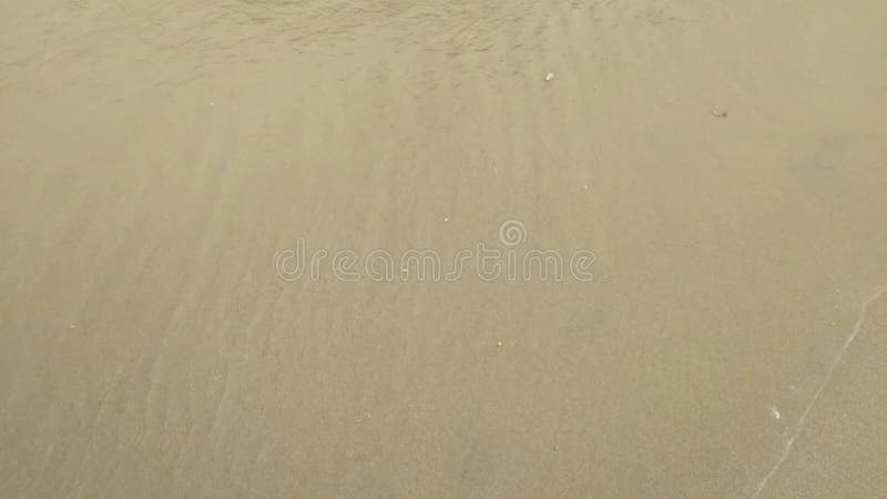 Wave Ripples at an Estuary Surrounded by Rocky Cliffs Stock Video ...