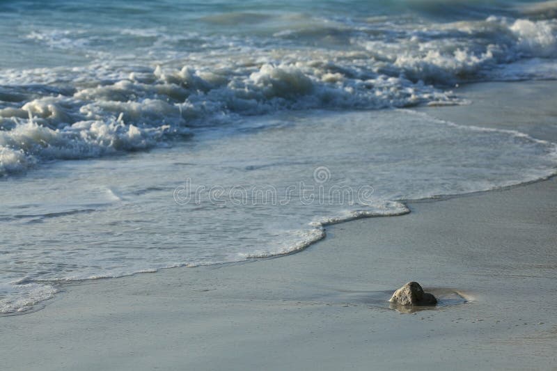 Wave on sand beach stock photo. Image of beaches, landscape - 61304514