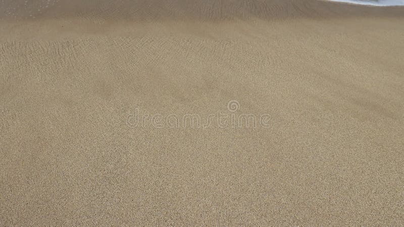 Wave and Sand at the Tropical Beach. Beach Slow Motion Video Stock ...