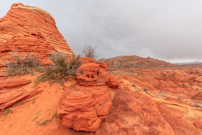 The Wave stock image. Image of orange, desert, natural - 50390537