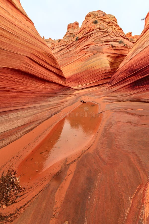 The Wave stock image. Image of navajo, natural, curve - 50390899