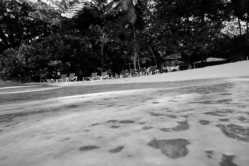 Wave on Sandy Beach. Background. Splash of Waves on the Sandy Beach ...