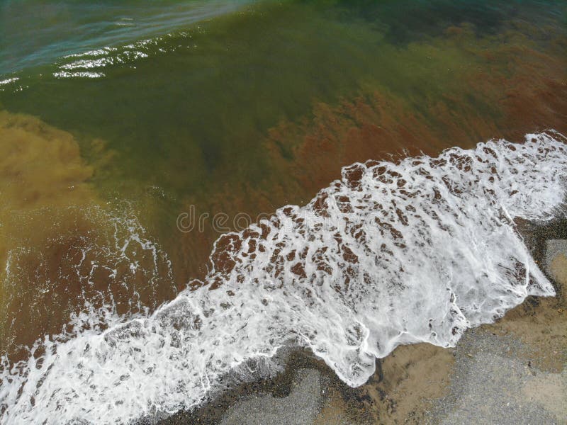 Wave of a Sea Washing the Shore Stock Image - Image of water, seaweed ...