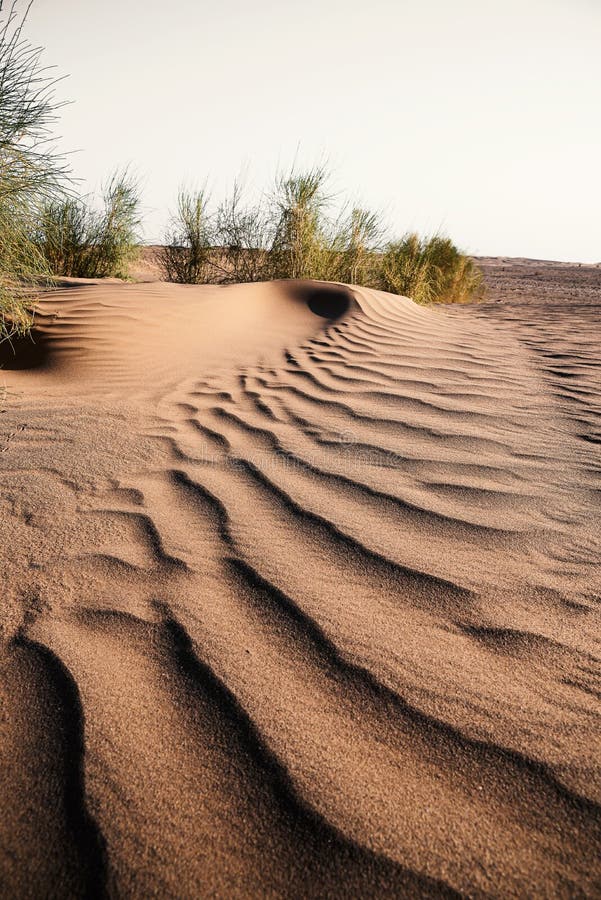 Wet sands in desert stock photo. Image of iran, arid - 170826130