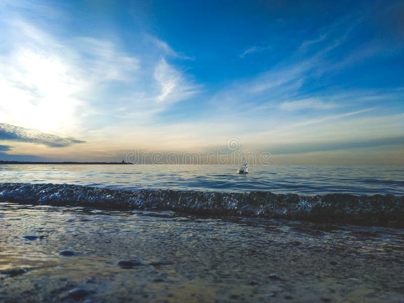 Wave and Sky Sunset on the Beach Stock Photo - Image of leaves ...