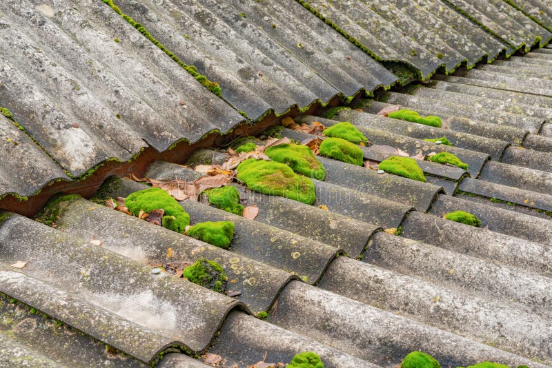 Wave Slate is Covered with Moss Stock Photo - Image of green, home ...