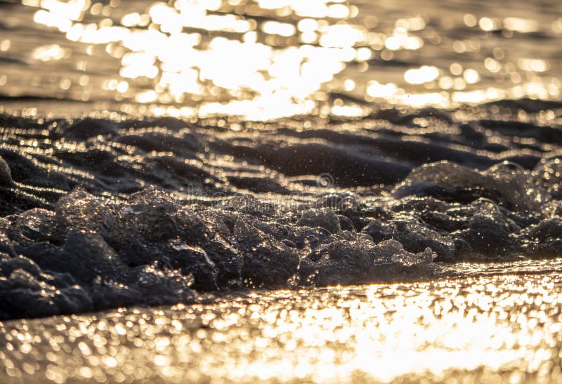 Wave Splash Sea Beach Close Up Sunrise Stock Image - Image of seascape ...