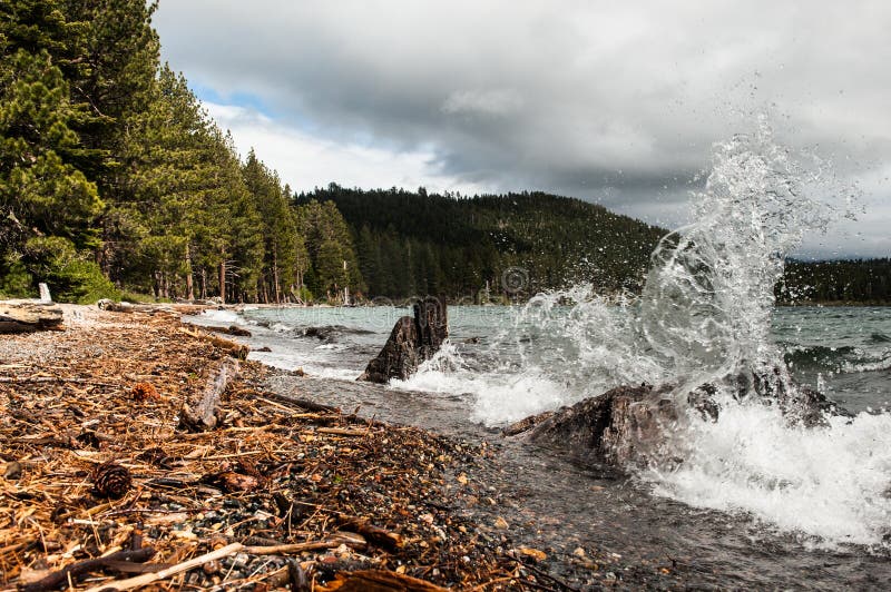 Wave Splashes Against Tree Trunk on a Lake Stock Image - Image of trees ...