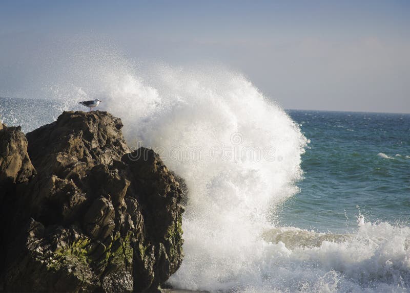 Wave Splashing a Big Rock in the Ocean Stock Image - Image of sonny ...
