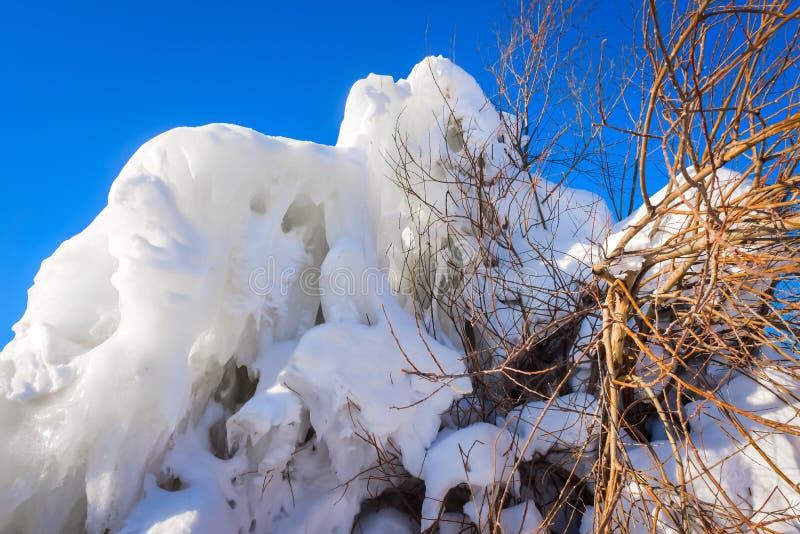 A Wave Stopped by a Tree and Turned To Ice in Winter Stock Photo ...