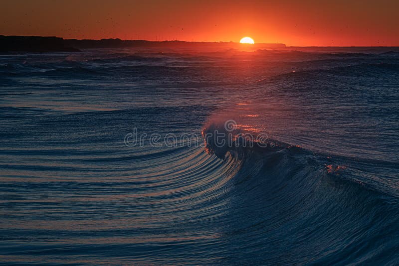 The wave in the sunrise stock photo. Image of evening - 231809138